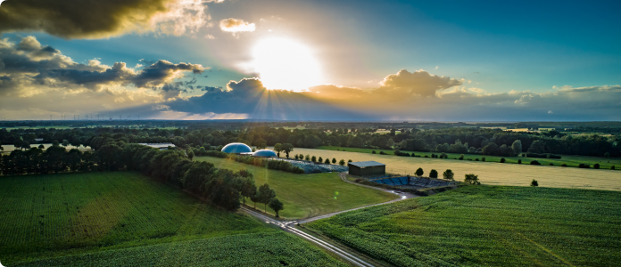 About Fern Trading | Fern Trading